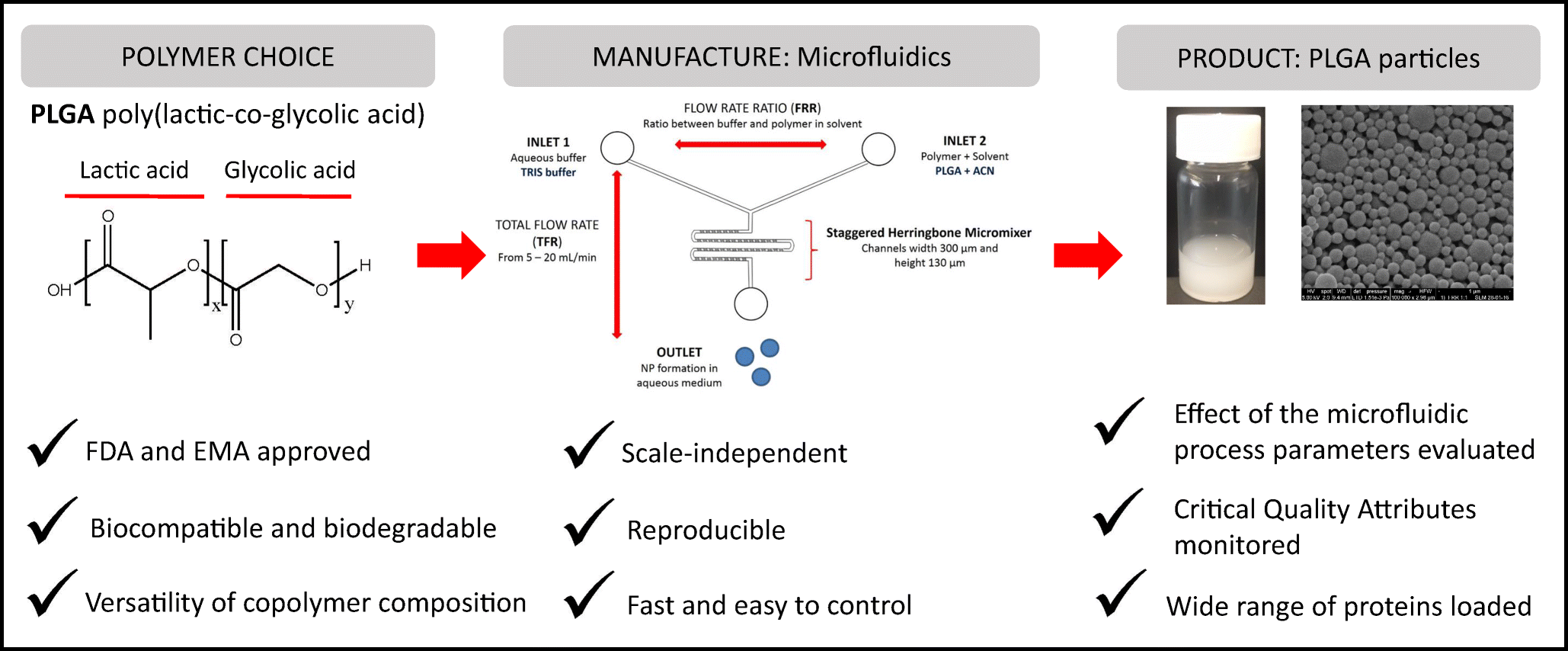 Translating the fabrication of protein-loaded poly(lactic-co-glycolic acid) nanoparticles from ...