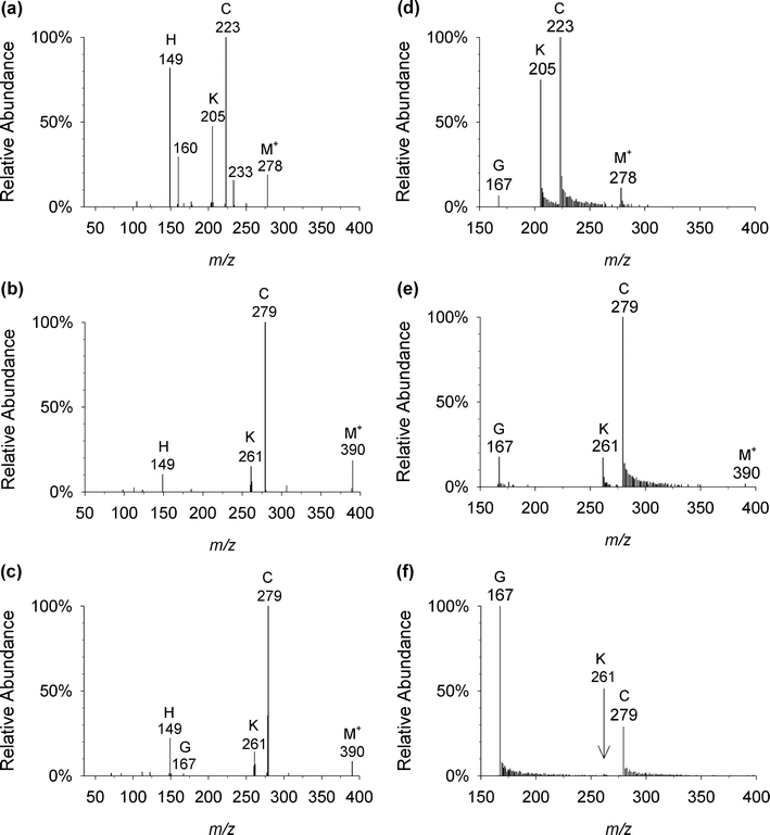 Density Functional Theory and Mass Spectrometry of Phthalate ...