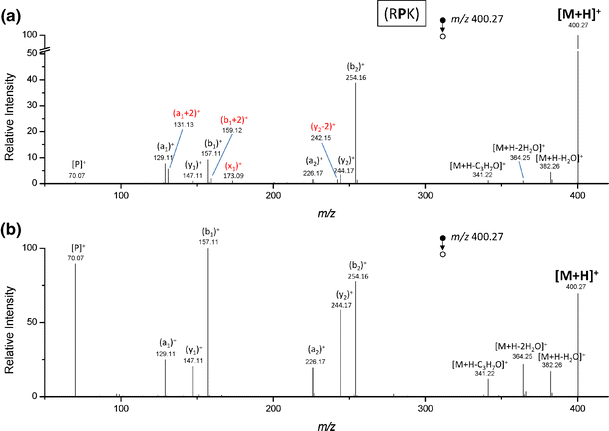 UV Photodissociation of Proline-containing Peptide Ions: Insights from ...