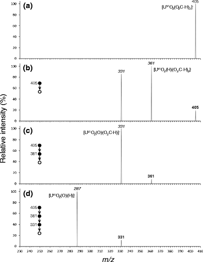 Gas Phase Reactions of Ions Derived from Anionic Uranyl Formate and ...