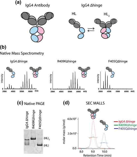 Native Mass Spectrometry: What is in the Name? | SpringerLink