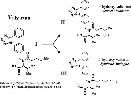 Identification and Partial Structural Characterization of Mass Isolated ...