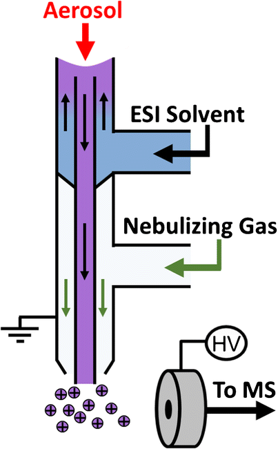 Use of an Open Port Sampling Interface Coupled to Electrospray ...