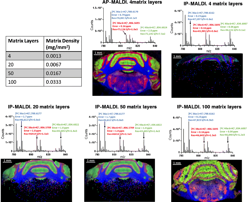 AP-MALDI Mass Spectrometry Imaging of Gangliosides Using 2,6 ...