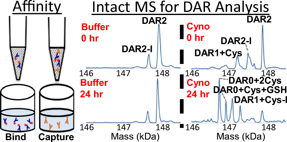 Automated On-tip Affinity Capture Coupled with Mass Spectrometry to ...