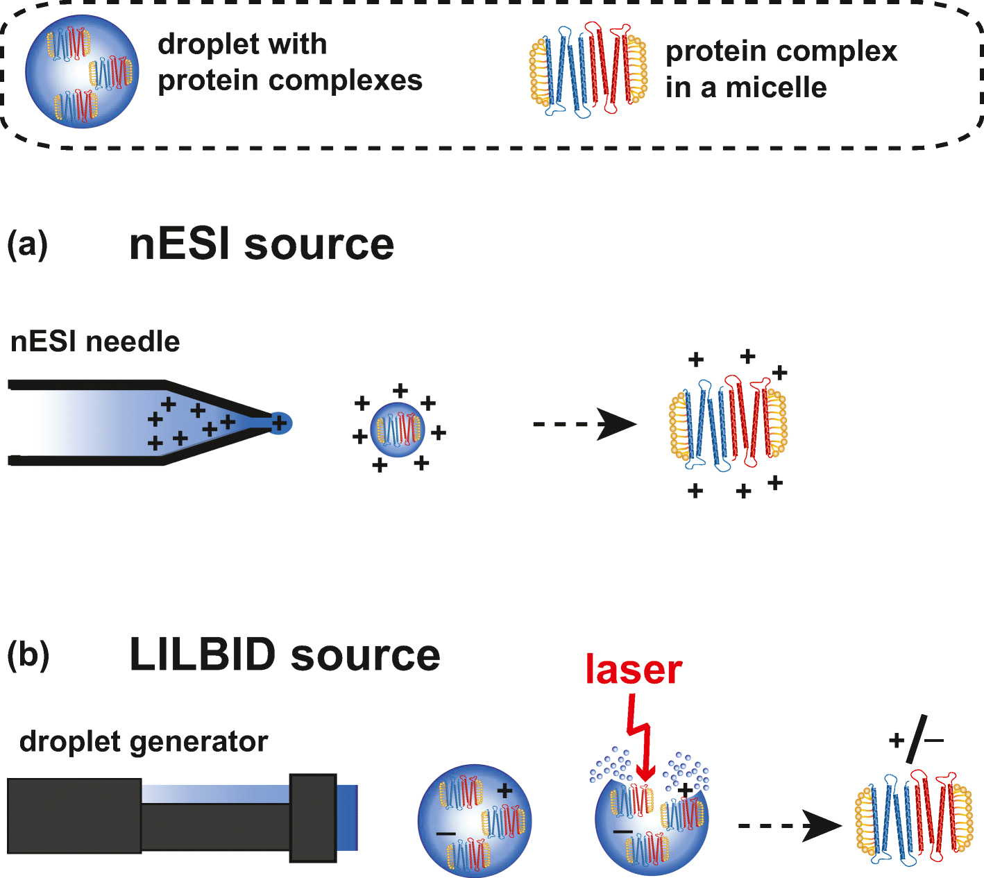 LILBID and nESI: Different Native Mass Spectrometry Techniques as Tools ...