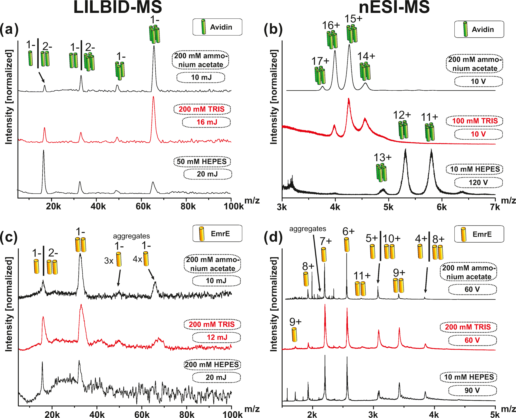 LILBID and nESI: Different Native Mass Spectrometry Techniques as Tools ...