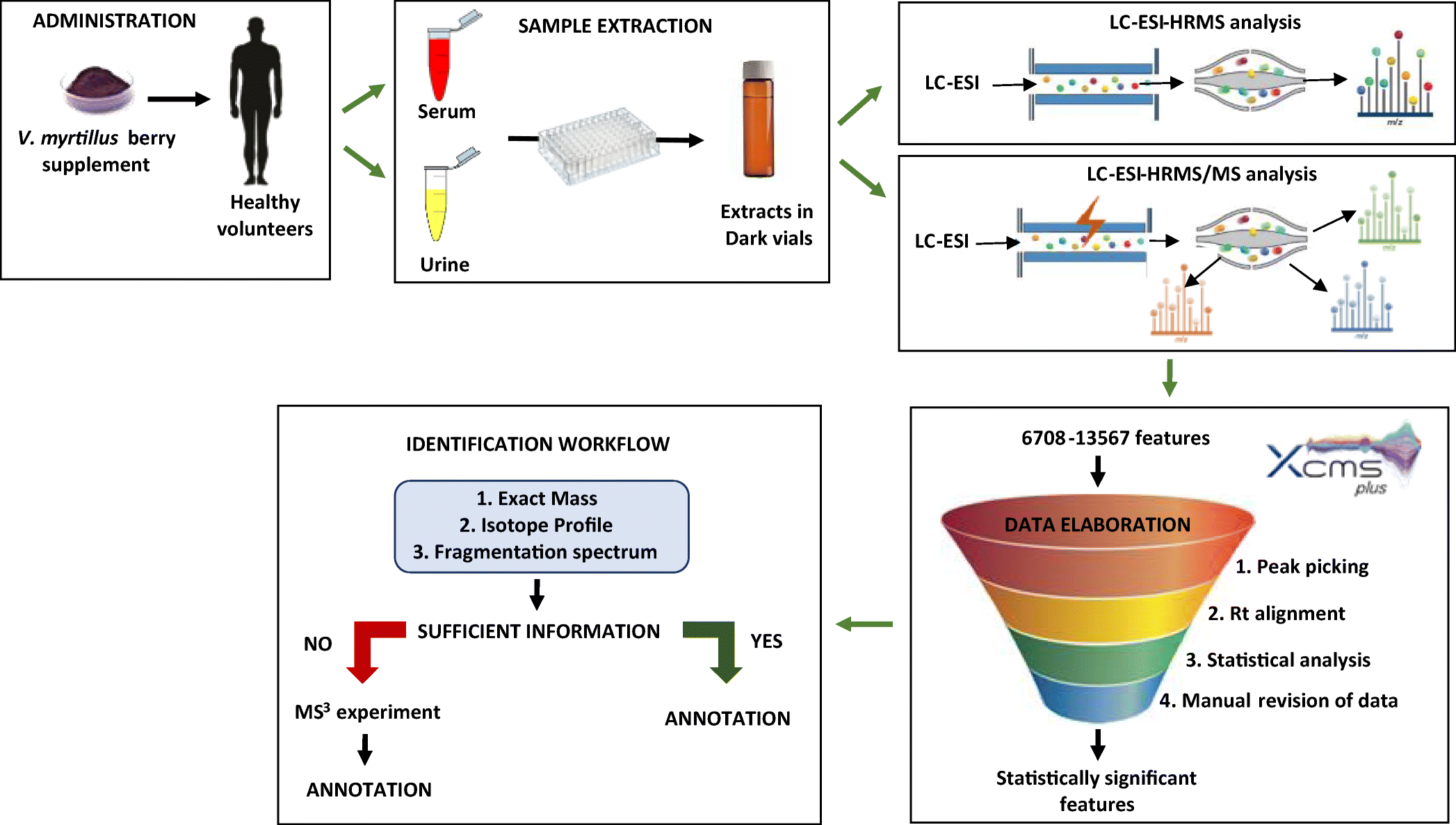 Untargeted Metabolomics Analytical Strategy Based on Liquid ...