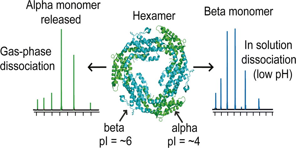 Subunit pI Can Influence Protein Complex Dissociation Characteristics ...