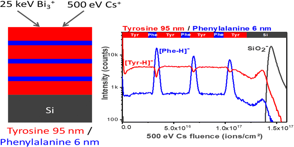 ToF-SIMS Depth Profiling of Organic Delta Layers with Low-Energy Cesium ...