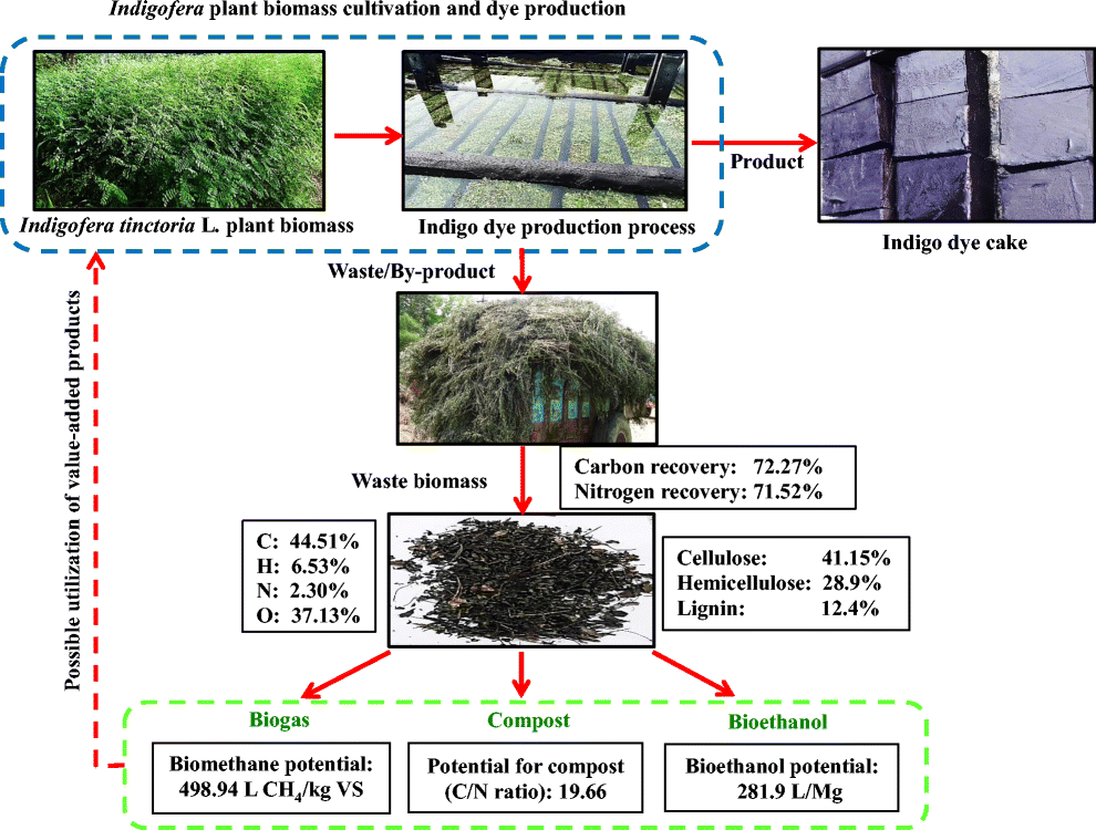 Valorization of waste Indigofera tinctoria L. biomass generated from ...