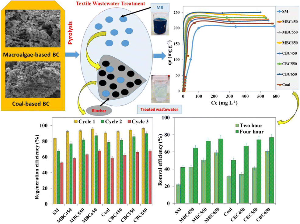 Macroalgae and coal-based biochar as a sustainable bioresource reuse ...