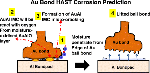 Evolution and investigation of copper and gold ball bonds in extended ...