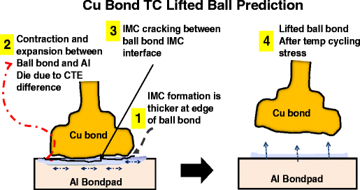 Evolution and investigation of copper and gold ball bonds in extended ...
