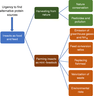 The environmental sustainability of insects as food and feed. A review ...