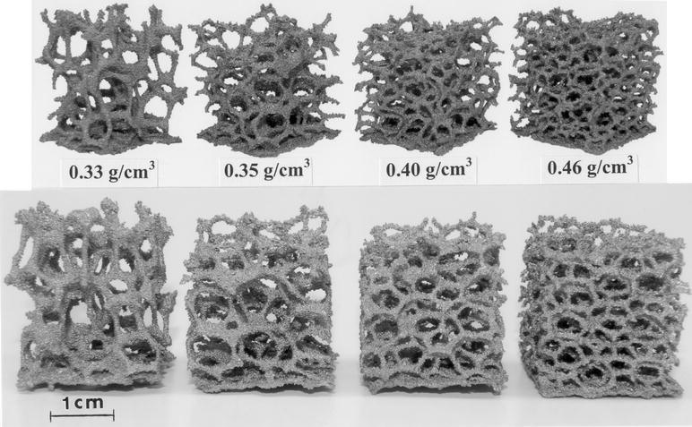 Microstructures for Two-Phase Gamma Titanium Aluminide Fabricated by ...