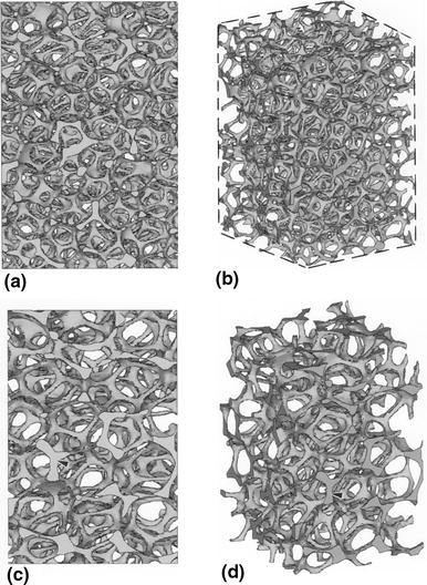 Microstructures for Two-Phase Gamma Titanium Aluminide Fabricated by ...