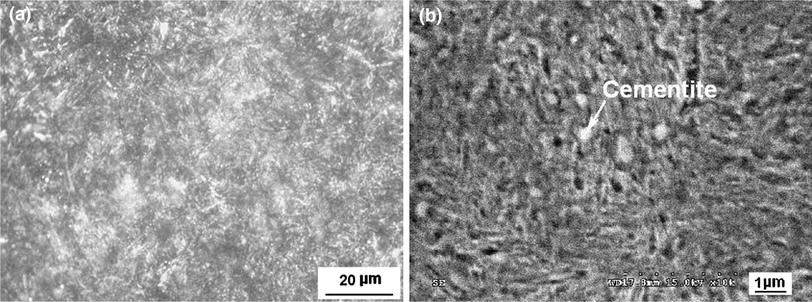Microstructure Evolution in AISI 1080 Eutectoid Steel Under Cyclic ...
