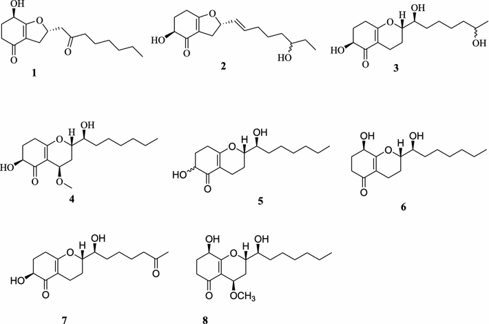 Koninginins N-Q, Polyketides from the Endophytic Fungus Trichoderma koningiopsis Harbored in ...