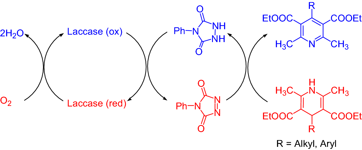 Aerobic oxidative aromatization of Hantzsch 1,4-dihydropyridines via an ...