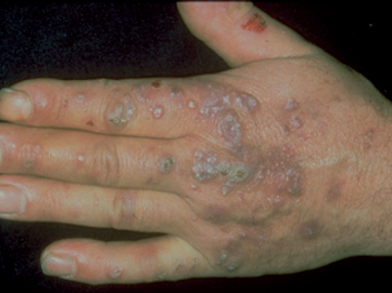 Ein intensiver Blick lohnt! | SpringerLink