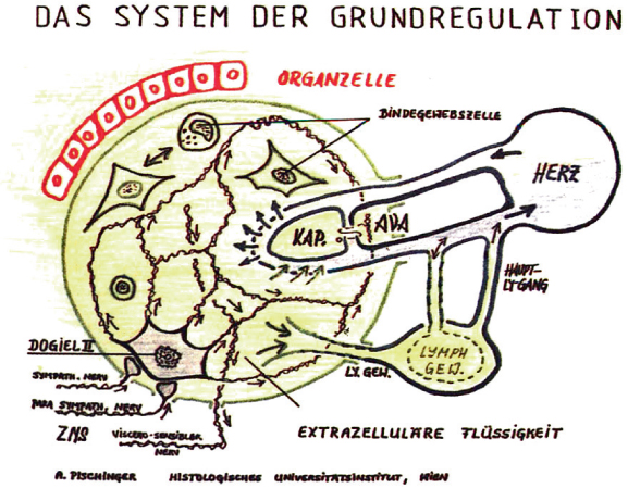 WISSENSWERTES | SpringerLink