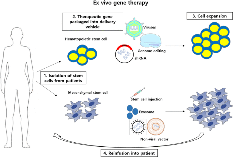 Recent challenges and advances in genetically-engineered cell therapy ...