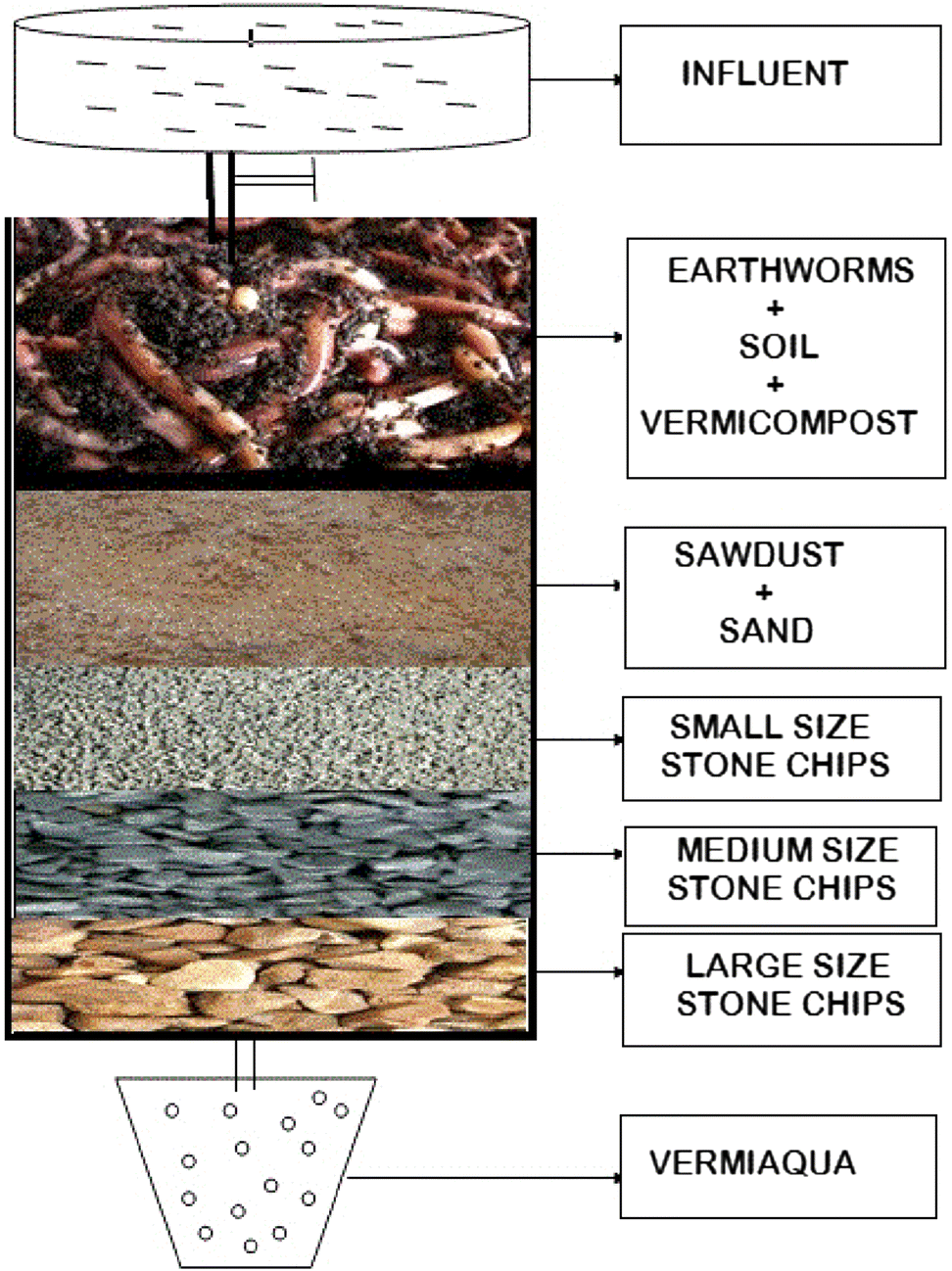 Fabrication of a vermifiltration unit for wastewater recycling and ...