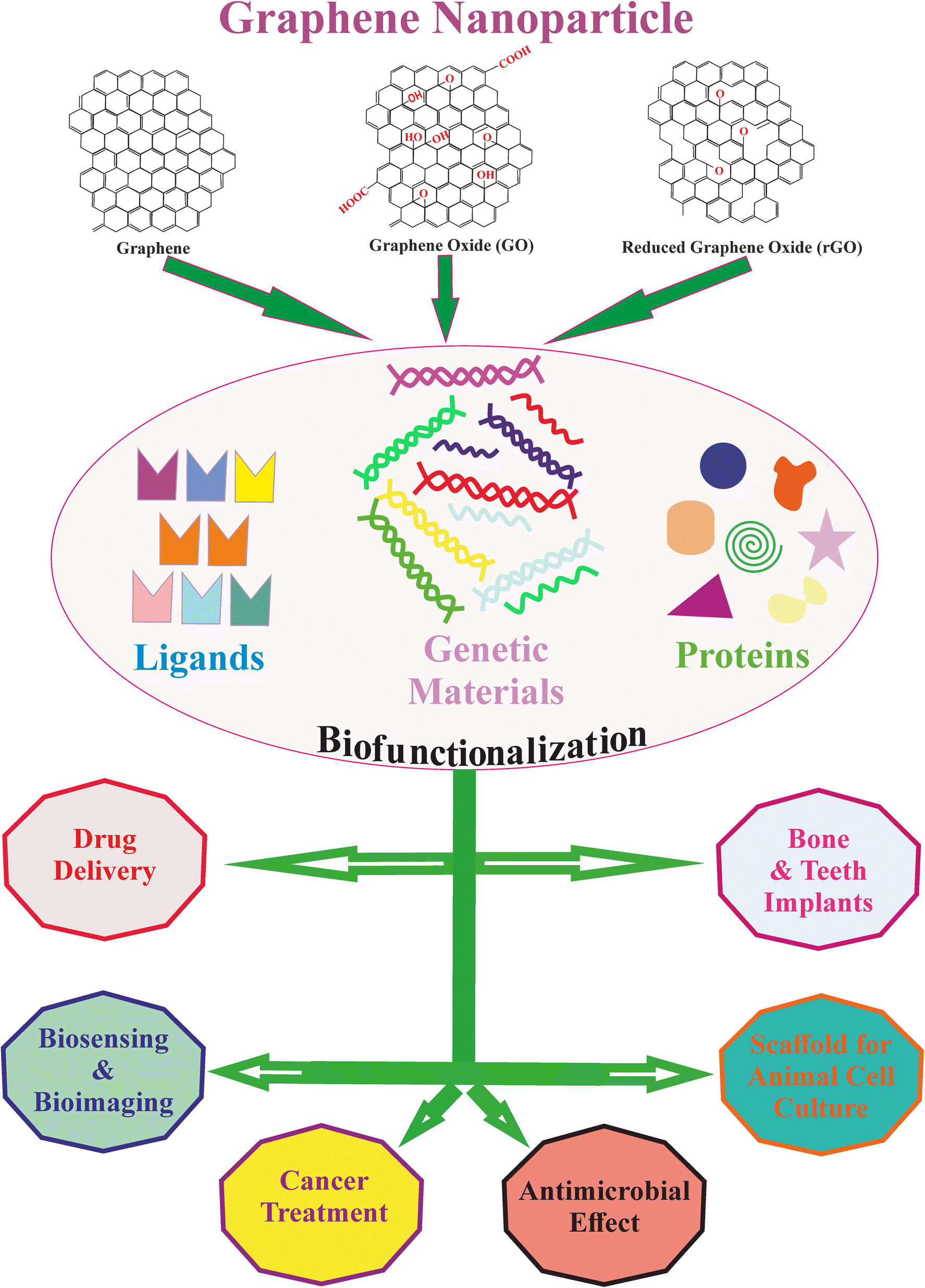 Graphene and graphene oxide as nanomaterials for medicine and biology ...