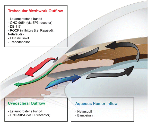New Developments in the Medical Treatment of Glaucoma | SpringerLink