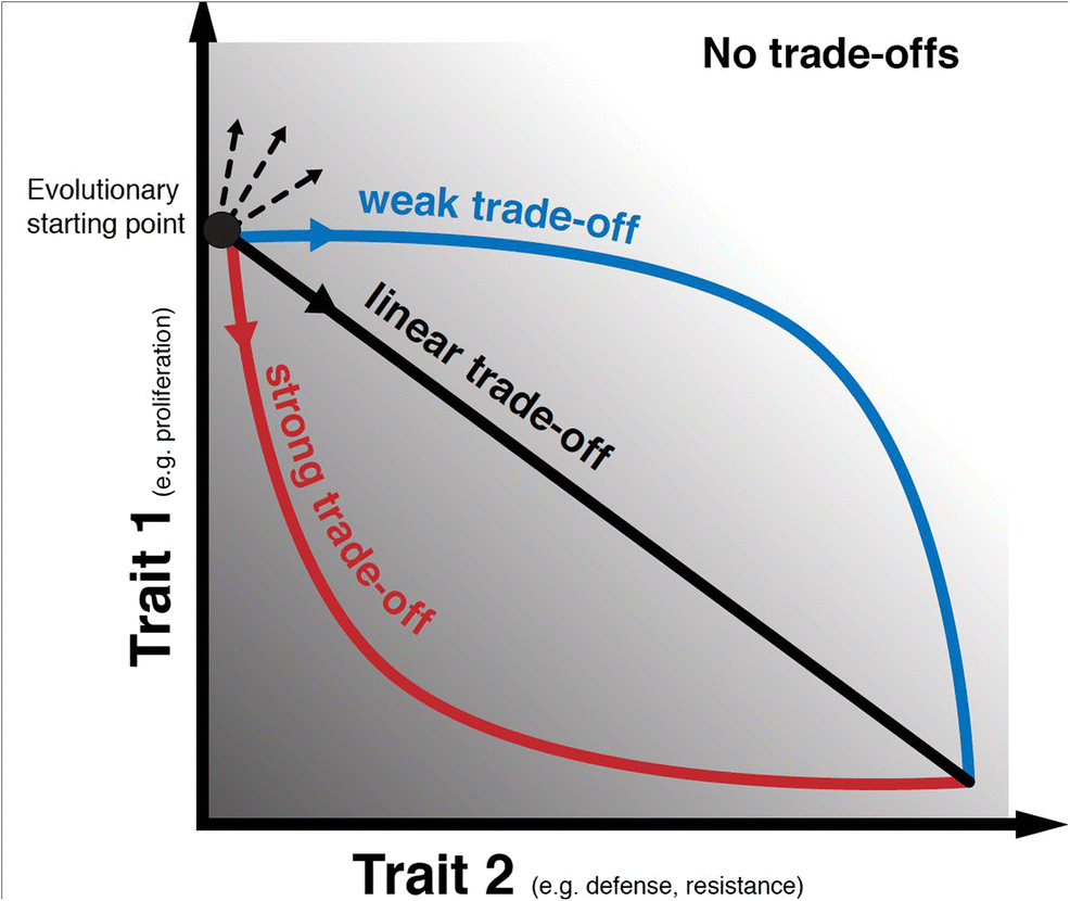 Life History Trade-Offs in Tumors | SpringerLink