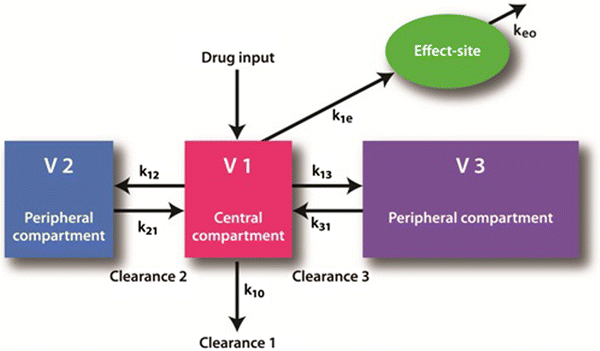 Total Intravenous Anesthesia (TIVA) and Target Controlled Infusions ...