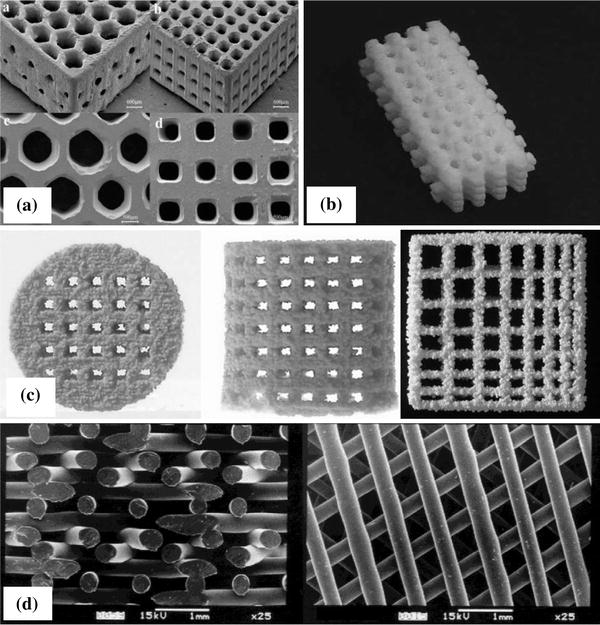 Bone tissue engineering scaffolding: computer-aided scaffolding ...