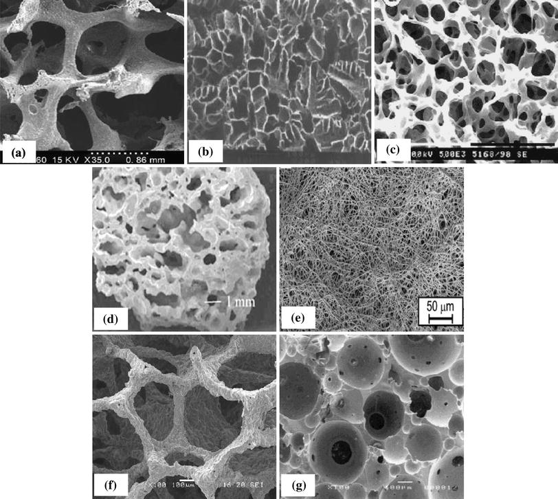 Bone tissue engineering scaffolding: computer-aided scaffolding ...
