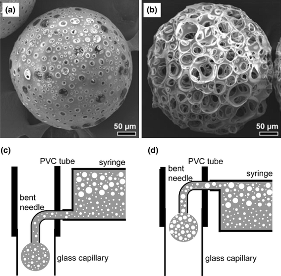 Development of microspheres for biomedical applications: a review ...