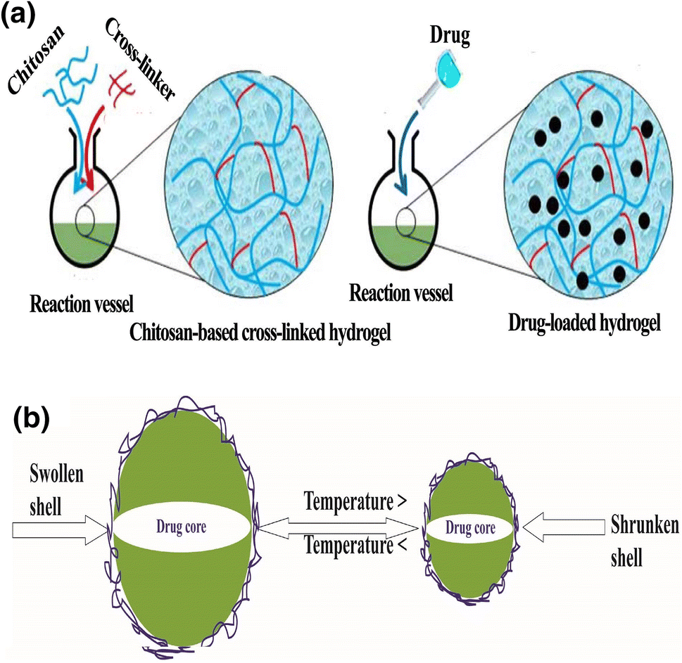 Cellulose-based hydrogel materials: chemistry, properties and their ...