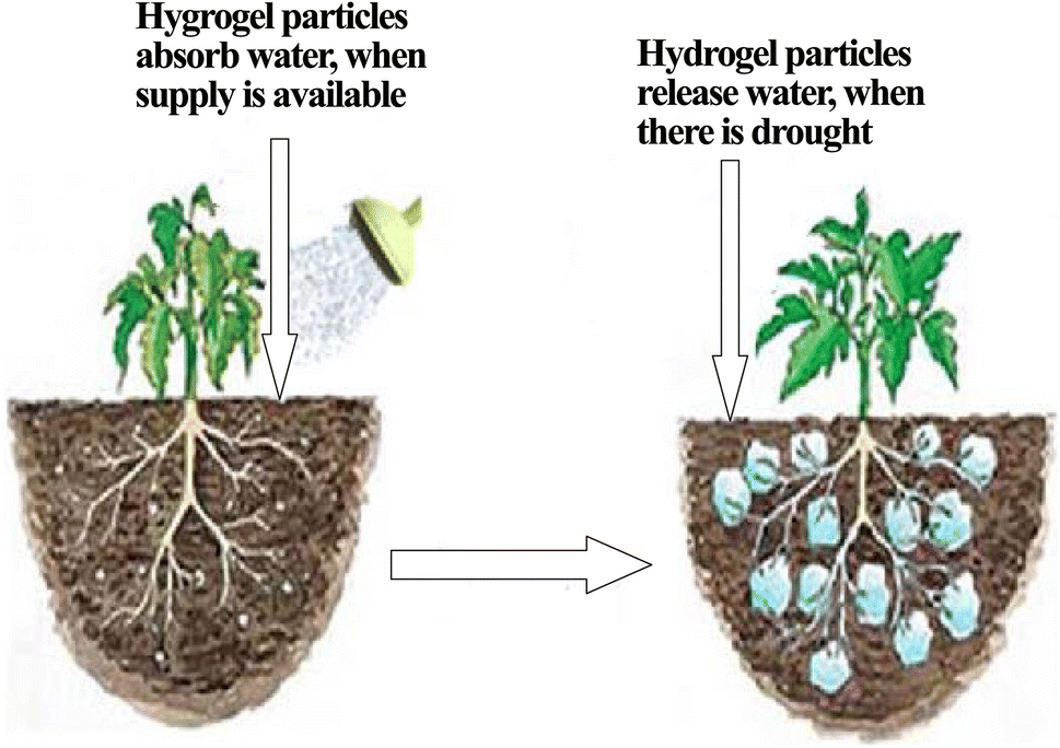Cellulose-based hydrogel materials: chemistry, properties and their ...