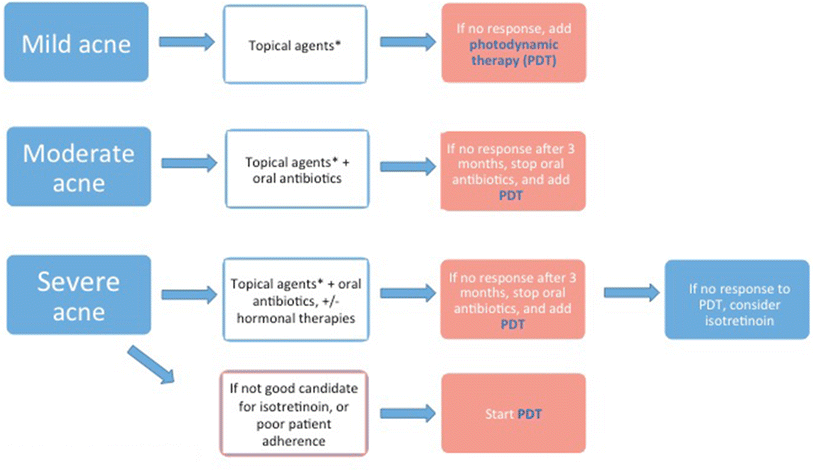 The Role of Photodynamic Therapy in Acne: An Evidence-Based Review ...