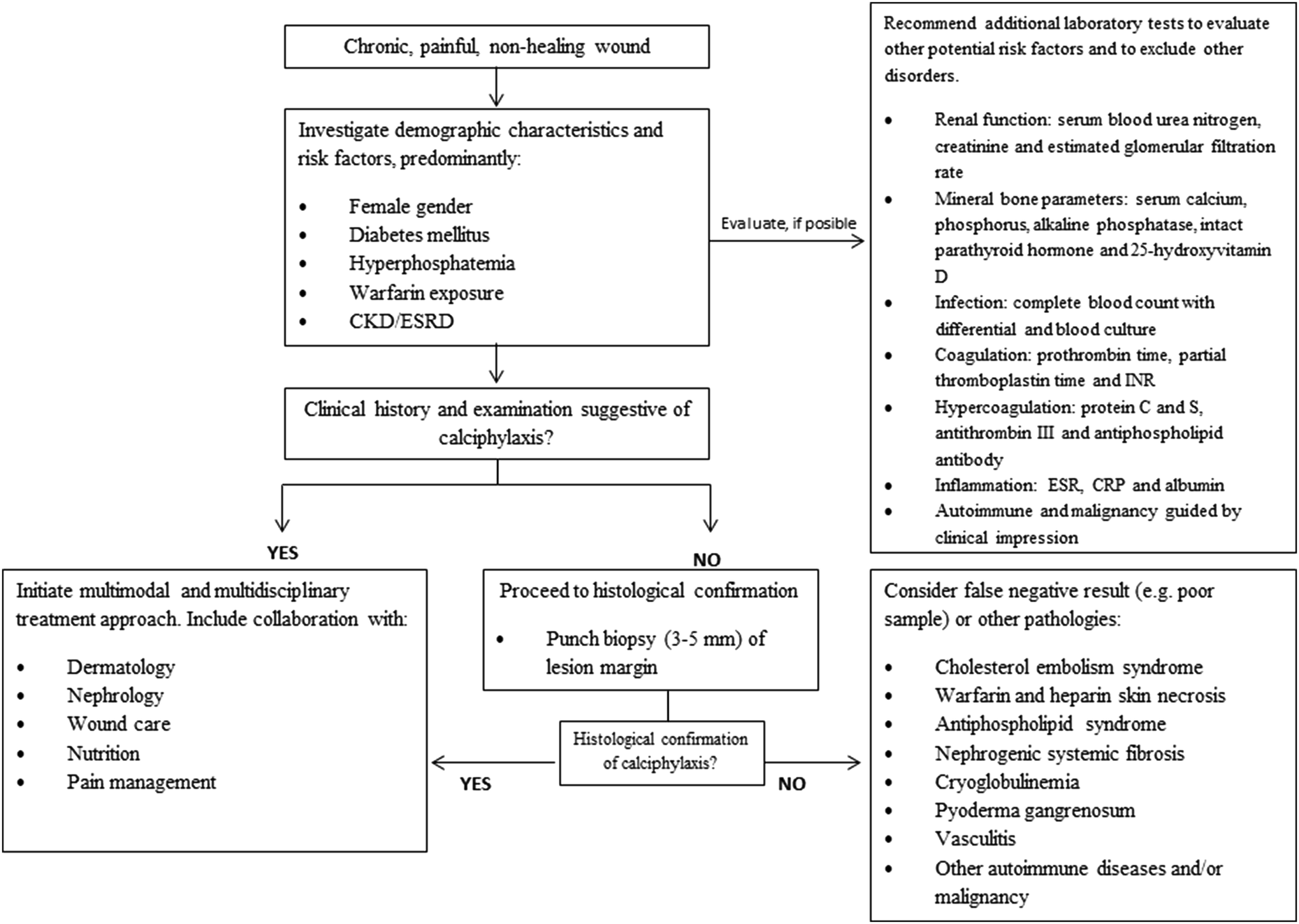 An Update on Calciphylaxis | SpringerLink