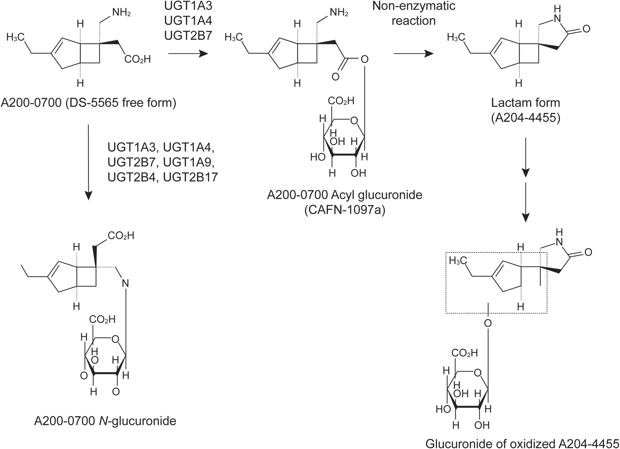 Open-Label Single-Dose Study to Assess the Effect of Mild and Moderate ...