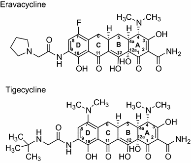 Review of Eravacycline, a Novel Fluorocycline Antibacterial Agent ...