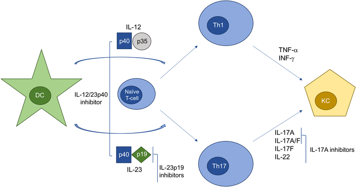 Selective Interleukin-23 p19 Inhibition: Another Game Changer in ...