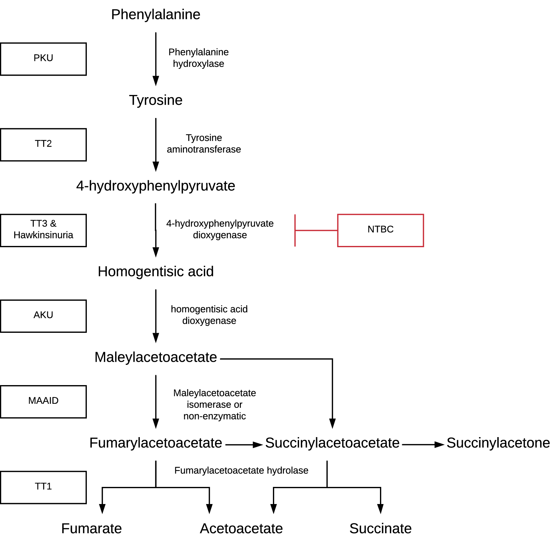 Long-Term Outcomes and Practical Considerations in the Pharmacological ...