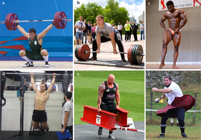 The Epidemiology of Injuries Across the Weight-Training Sports ...