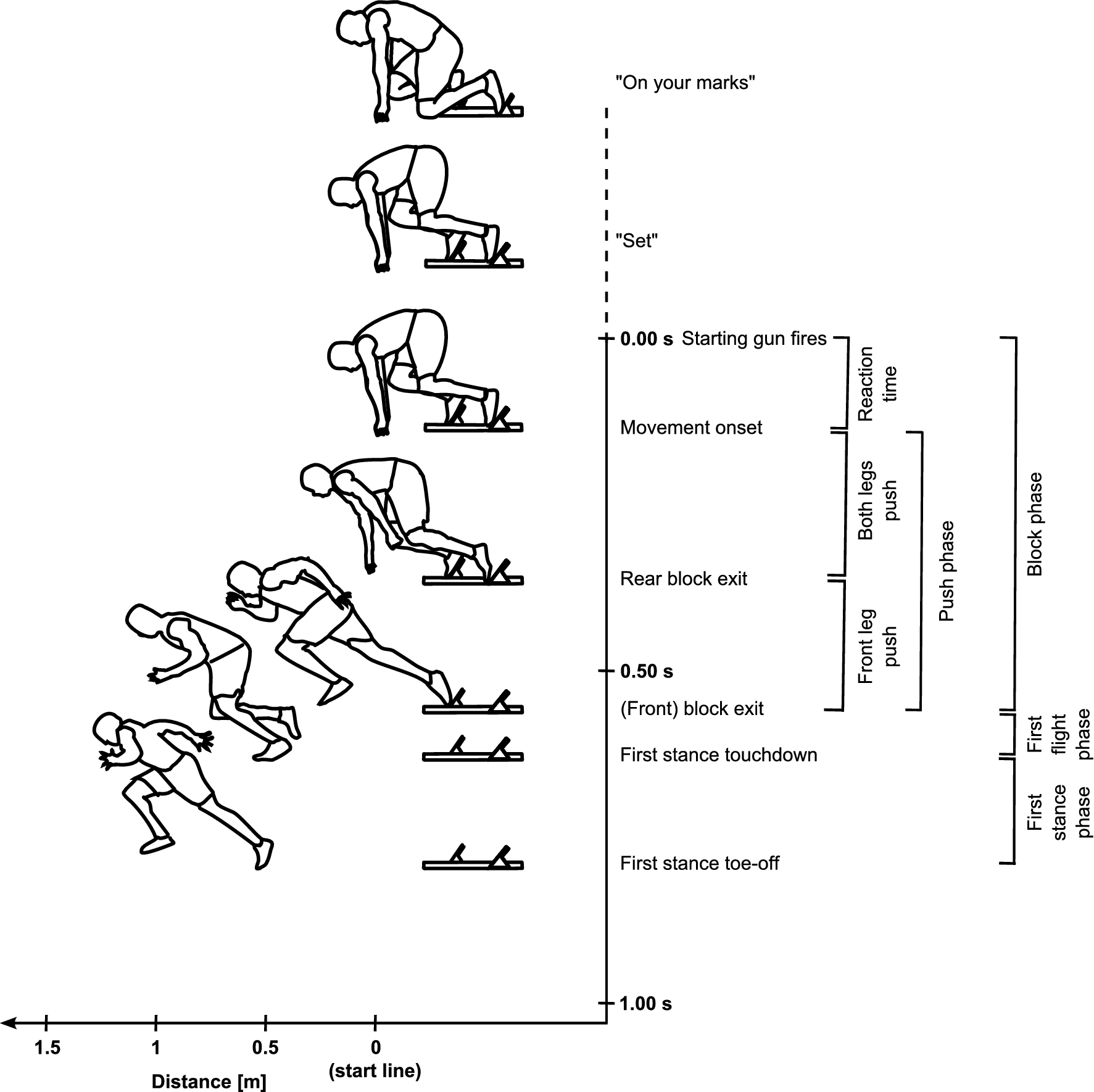 The Biomechanics of the Track and Field Sprint Start: A Narrative ...
