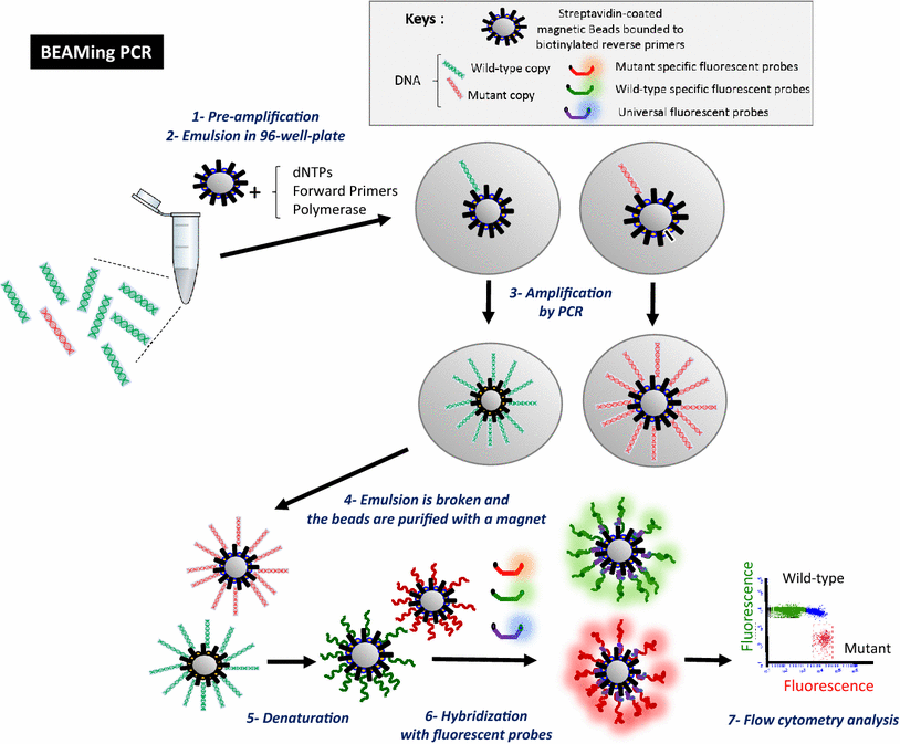 The Role of BEAMing and Digital PCR for Multiplexed Analysis in Molecular Oncology in the Era of ...