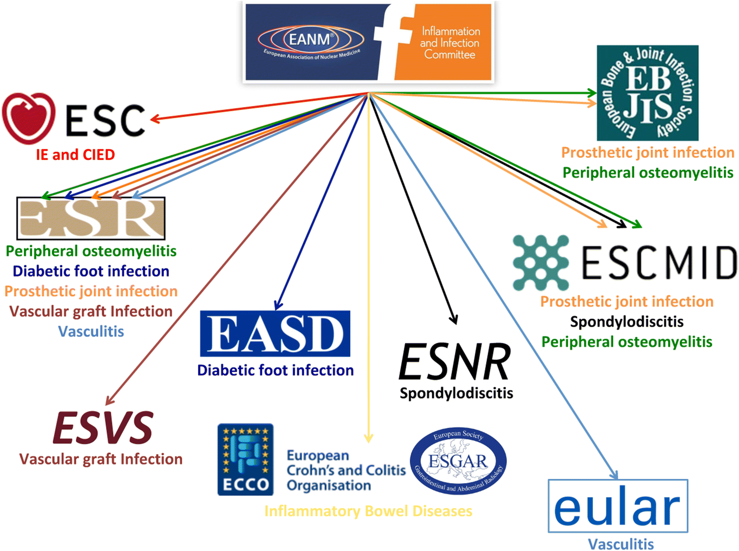 Infection and inflammation imaging standardization: the EANM guidelines ...