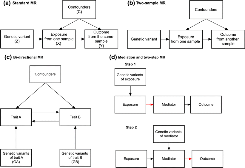 Recent Developments in Mendelian Randomization Studies | SpringerLink
