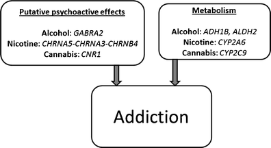 The Genetics, Neurogenetics and Pharmacogenetics of Addiction ...