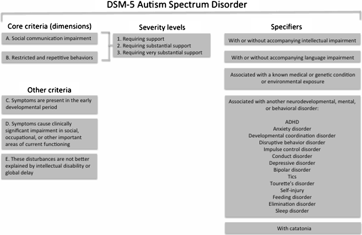 Autism Spectrum Disorder: Defining Dimensions and Subgroups | SpringerLink
